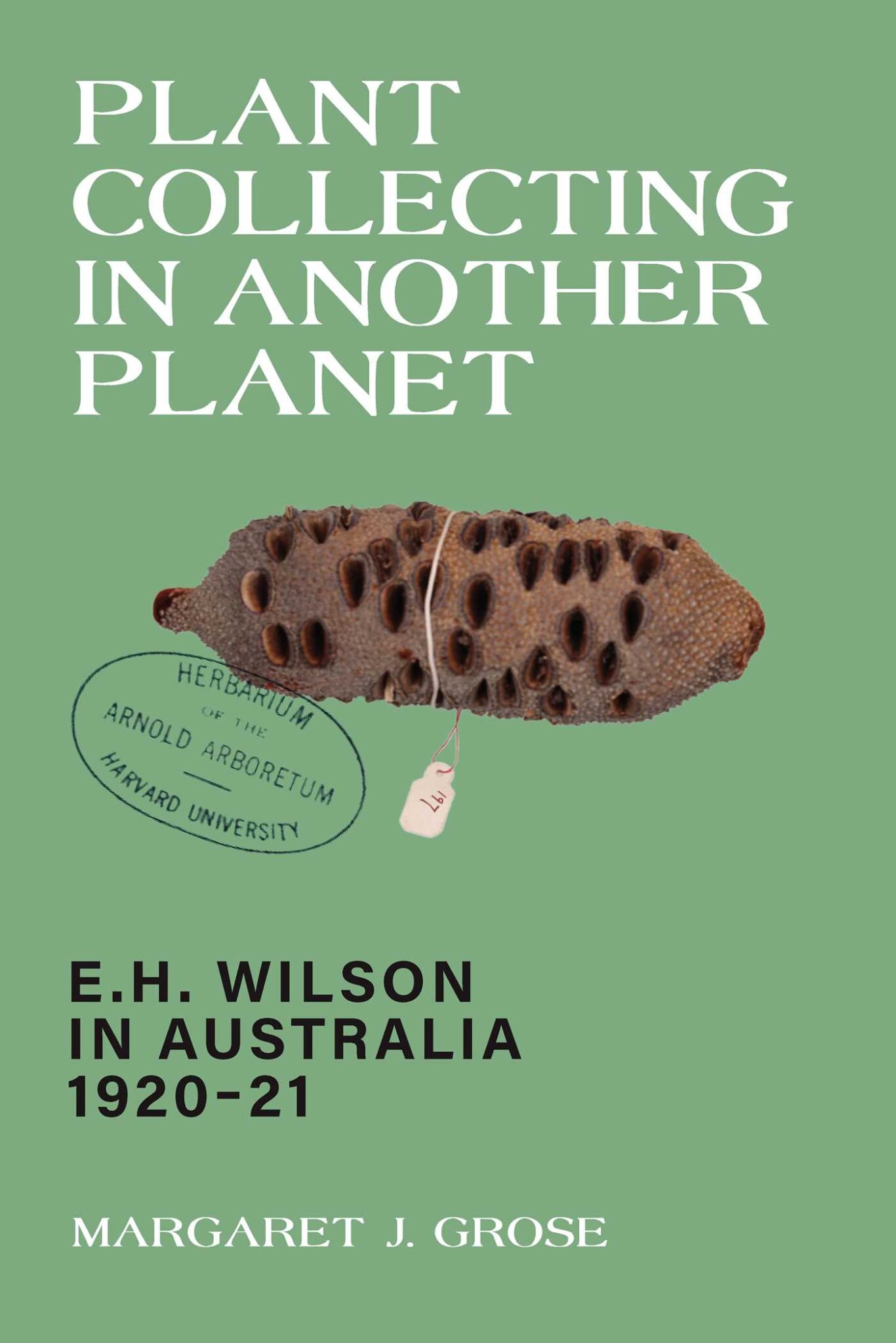 Chinese Wilson in Australia - Australian Garden History Society