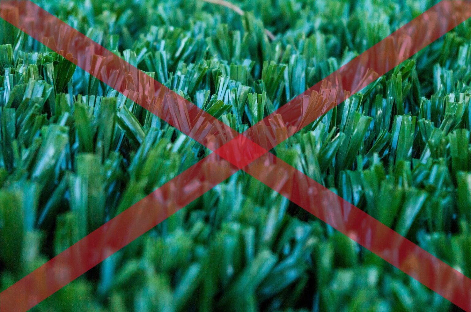 AGHS policy on plastic grass - Australian Garden History Society